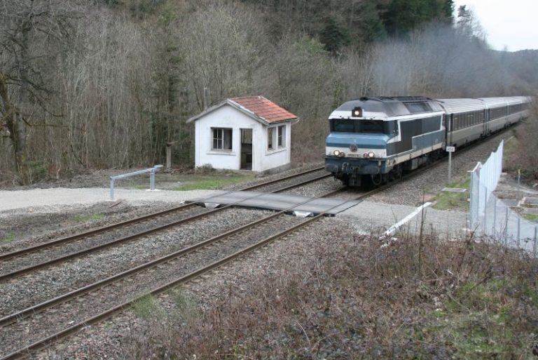 CC72064 dans les Sauvages